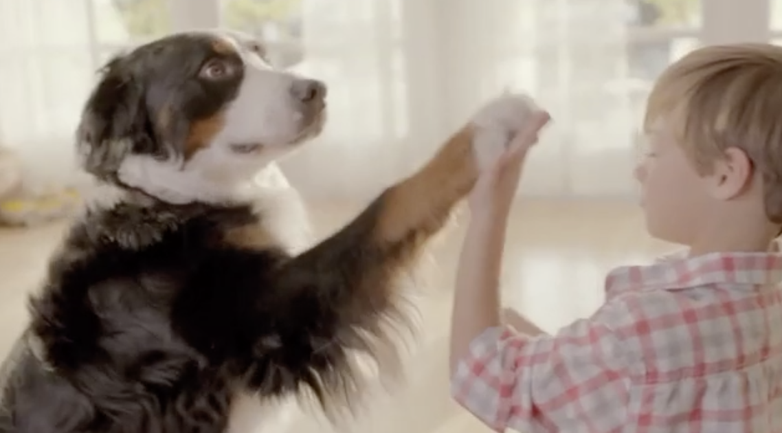 You're A Dog Family - Fallon